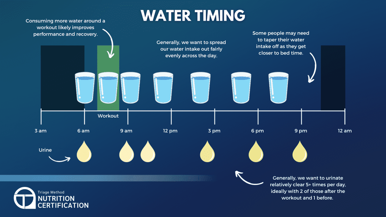 How Much Water Should You Drink? - TriageMethod