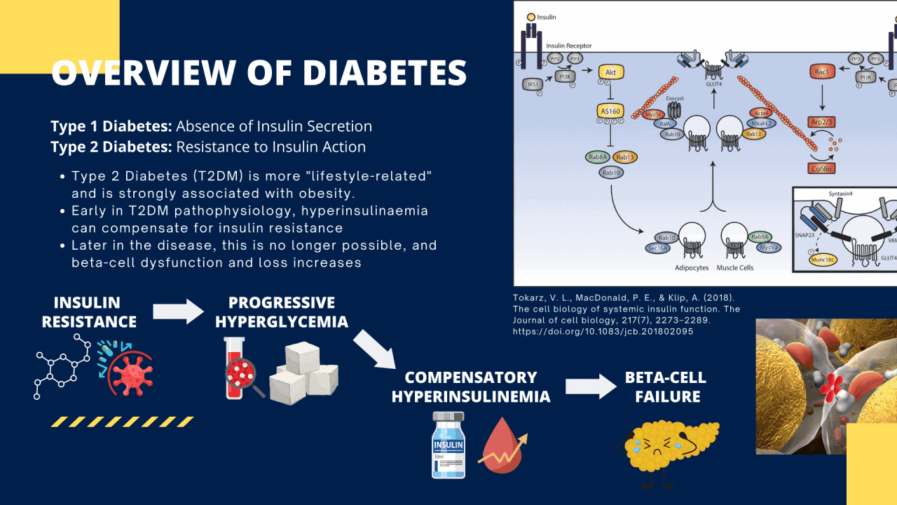Exercise, Insulin Resistance & Diabetes | Triage Thoughts Ep. 244