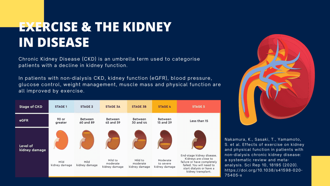 Exercise & Kidney Disease | Triage Thoughts Ep. 243