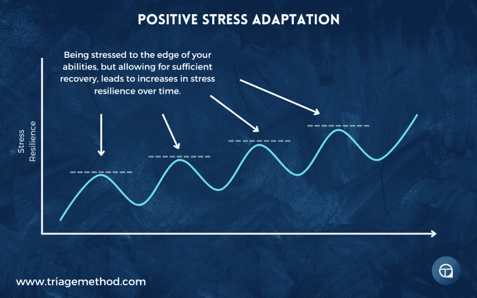 Training Progression (Progressive Overload) - TriageMethod