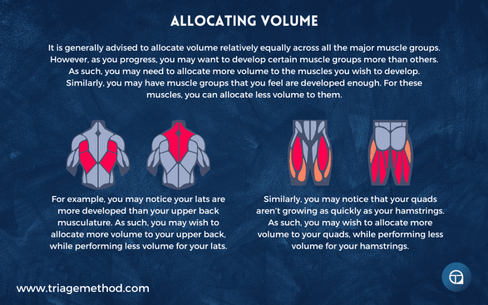 Should You Do High Volume Or Low Volume For Muscle Growth? - TriageMethod