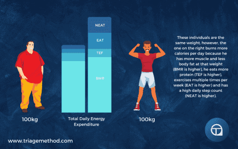 Free Lean Body Mass Calculator - TriageMethod