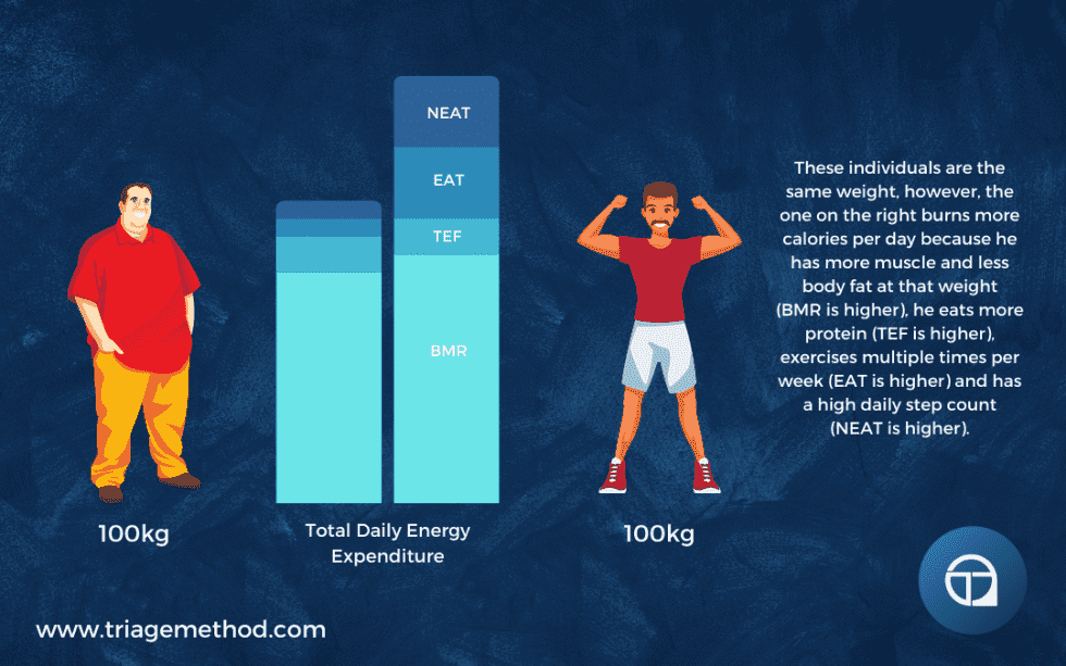 Free Lean Body Mass Calculator - TriageMethod