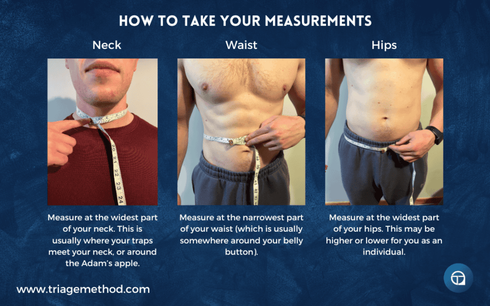 Free Lean Body Mass Calculator - TriageMethod