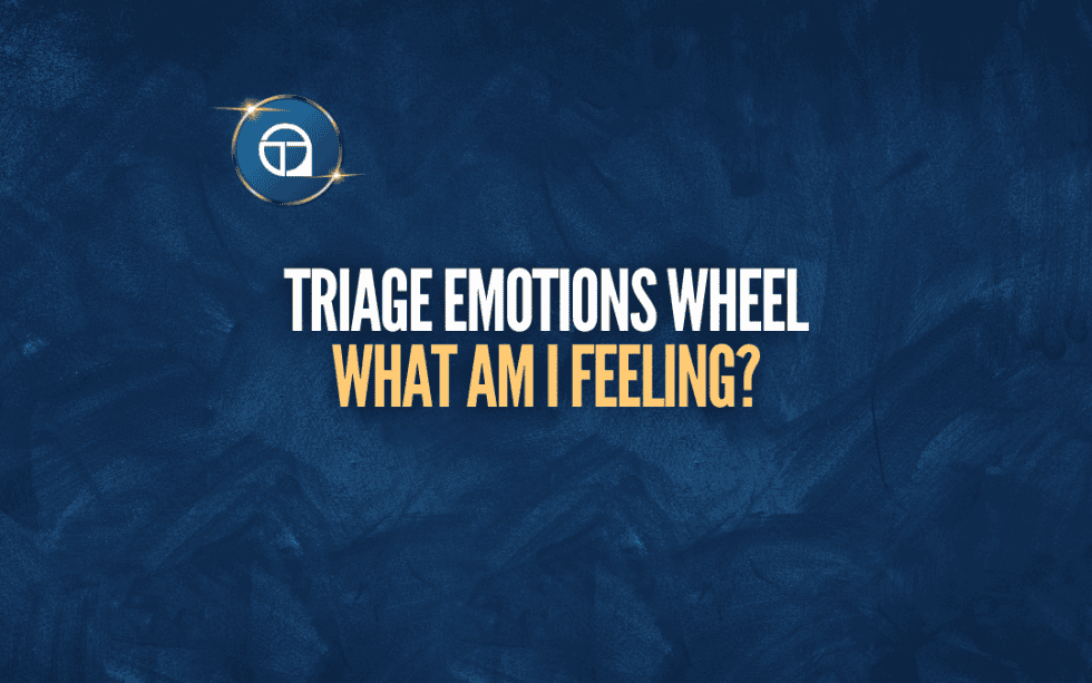 Triage Emotions Wheel: What Am I Feeling? - TriageMethod
